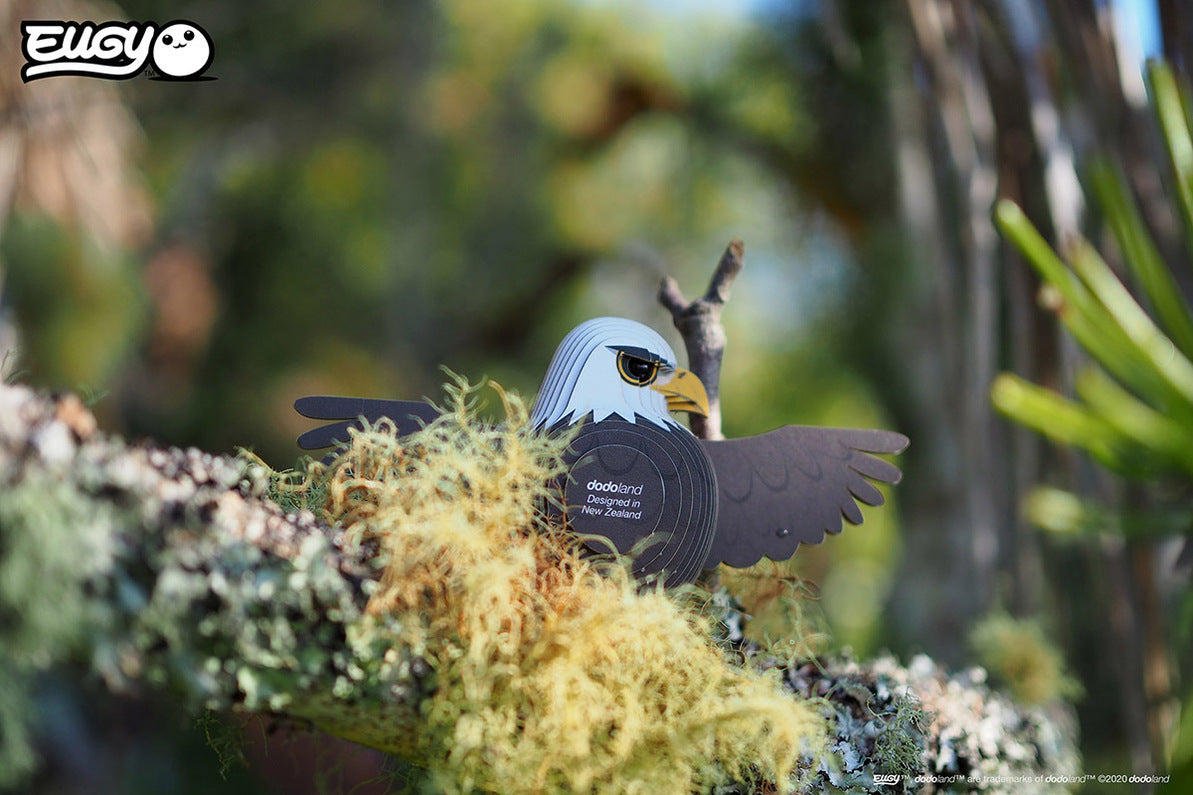 Bald Eagle – Kidz Korner Home Learning Resources